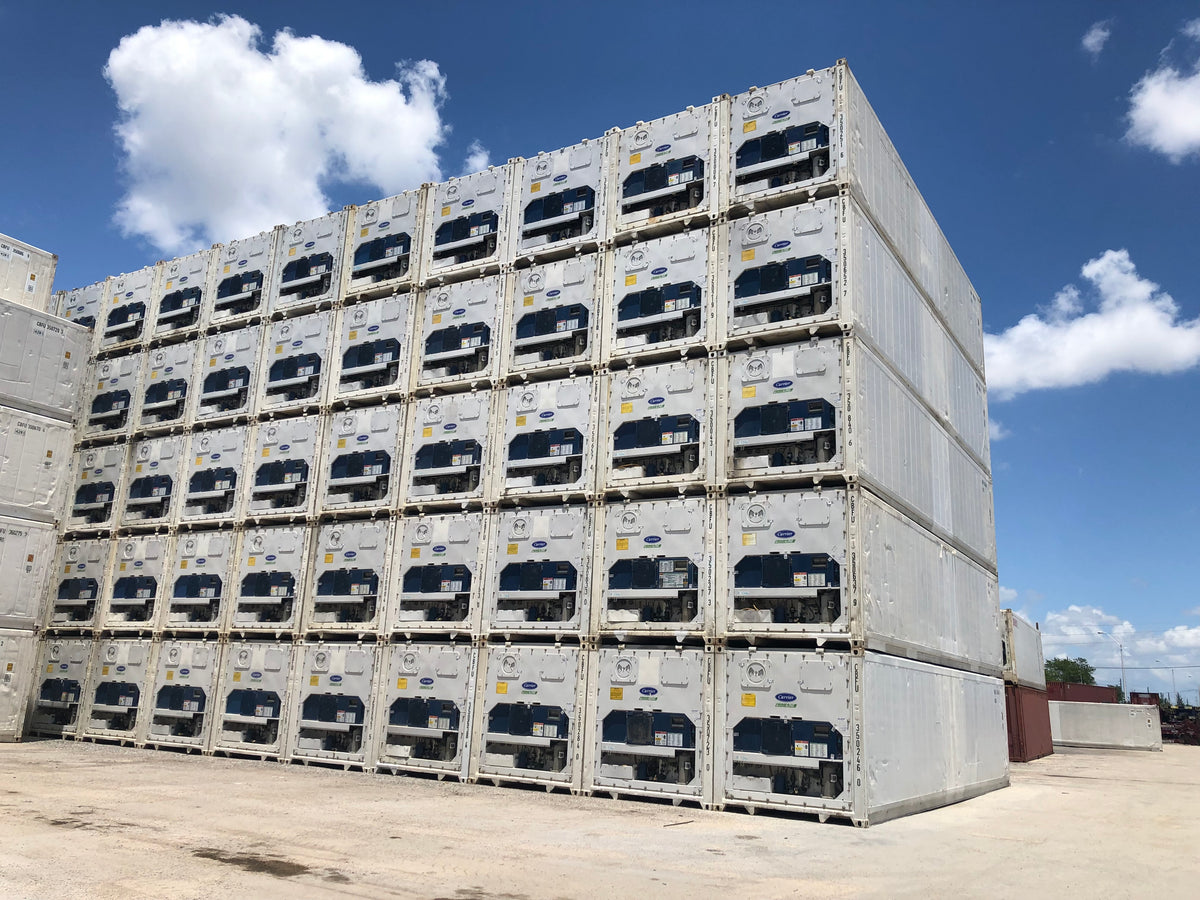 IMG_2449_1200x900.jpg?v=1682686884